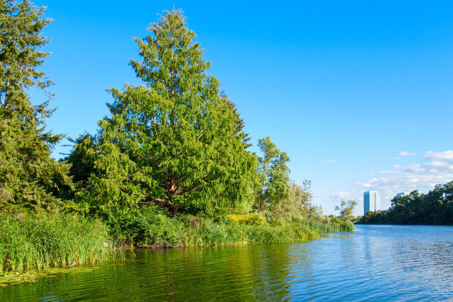 High Park de Toronto: avis & conseils pratiques | Guide Avygeo