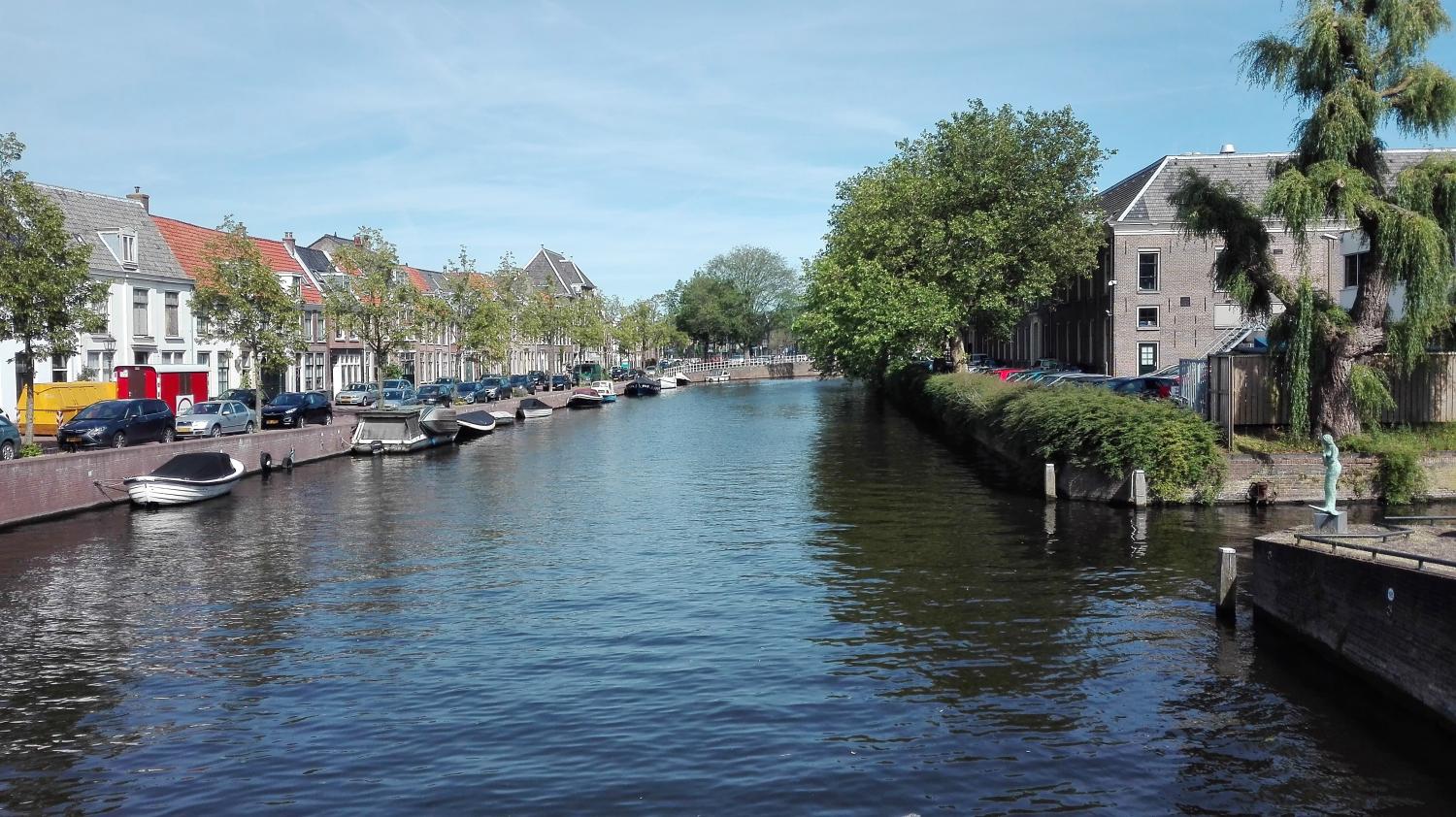 Que faire à Haarlem: les incontournables à voir absolument en 2025